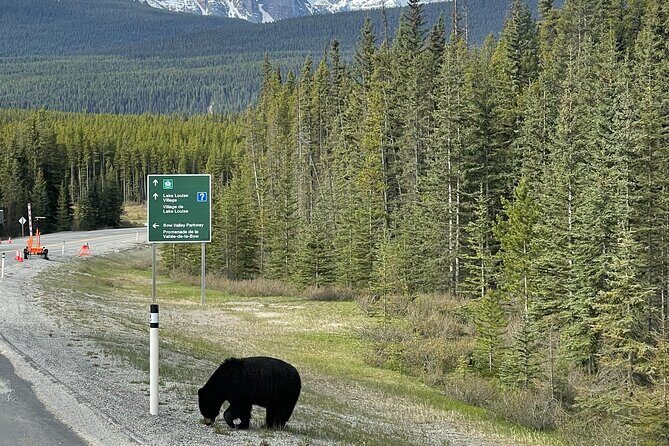 Sunrise Adventure: Alpenglow at Moraine Lake & Lake Louise - Comfort and Practical Details
