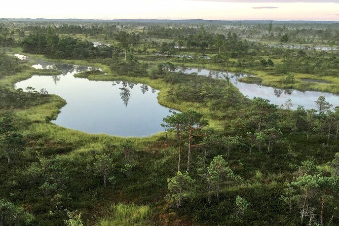 Sunrise at Kemeri National Park - Small Group - Detailed Itinerary and What to Expect
