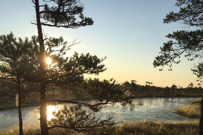 Sunrise at Kemeri National Park - Small Group - Final Thoughts