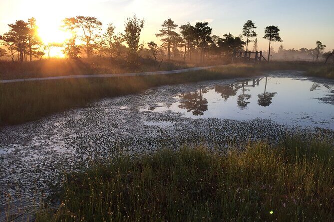 Sunrise at Kemeri National Park - Small Group - FAQ  