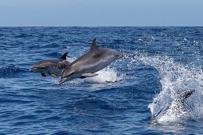 Sunrise EN the Ocean - The Sum Up