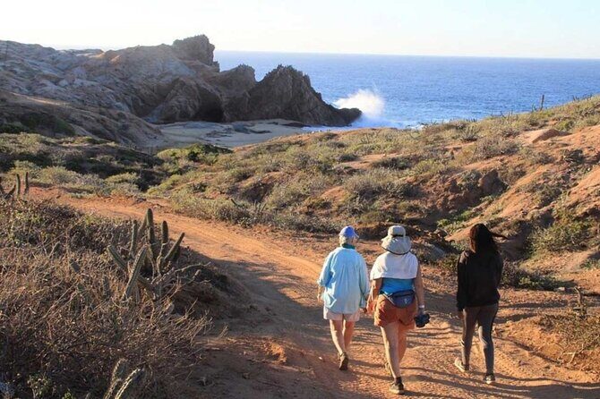 Sunrise Guided Desert Hike in Los Cabos - Key Points