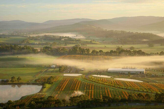 Sunrise Hot Air Balloon Flight over Yarra Valley + Breakfast - Who Will Love This Experience?