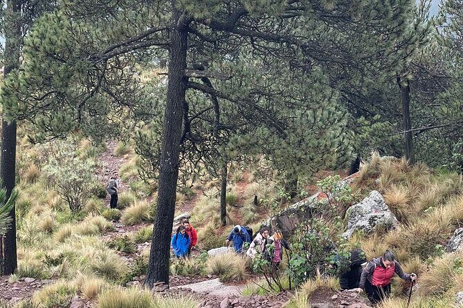 Sunrise in Las Alturas Hiking in El Pico del Aguila Tlalpan - The Sum Up: Who Is This Tour Perfect For?