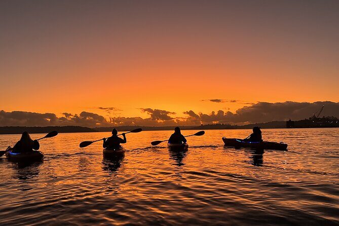 Sunrise Paddle Session on Syndey Harbour (single kayak) - Frequently Asked Questions