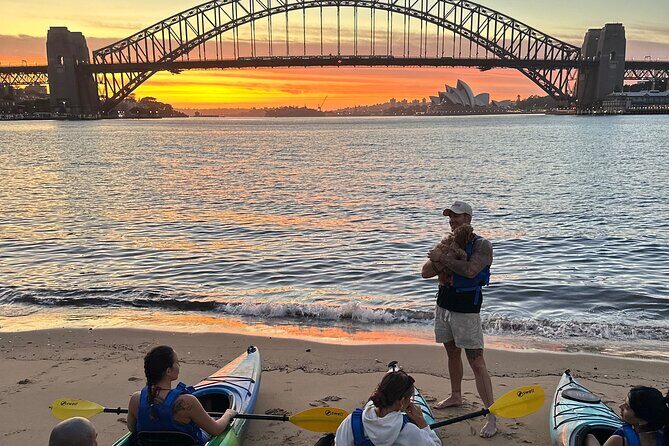 Sunrise Serenity Kayak Tour of Sydney Harbour - A Deep Dive Into the Experience  