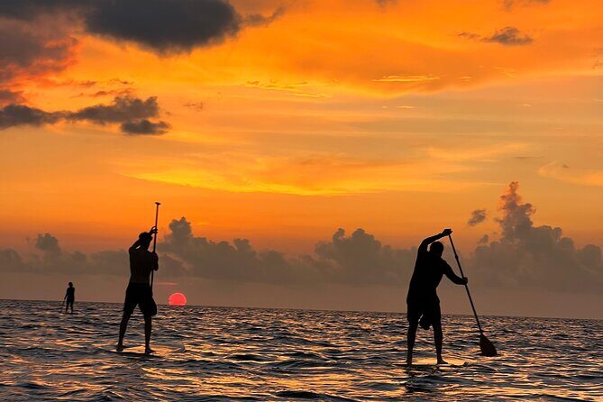 Sunrise Stand Up Paddle activity on a privileged beach. - Overview of the Sunrise Stand Up Paddle Activity in Cancun