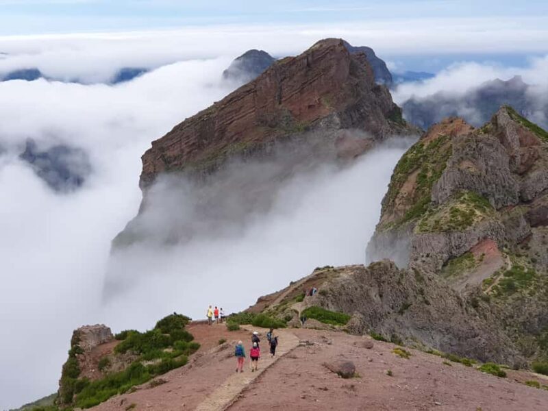 Sunrise Walk & Stairway to Heaven- Guided - Returning to Funchal