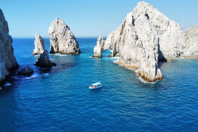 Sunrise Whale Watching boat tour with marine biologist - Why We Think This Tour Stands Out