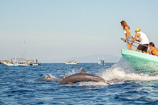 Sunrise with stars and Dolphin sighting in Puerto Escondido! - Key Points