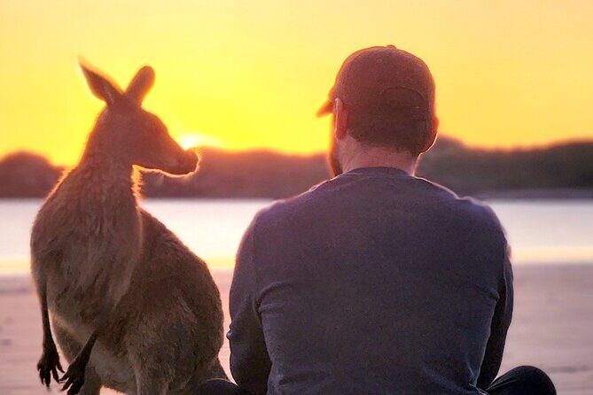 Sunrise with the kangaroos and wallabies - The Itinerary in Detail