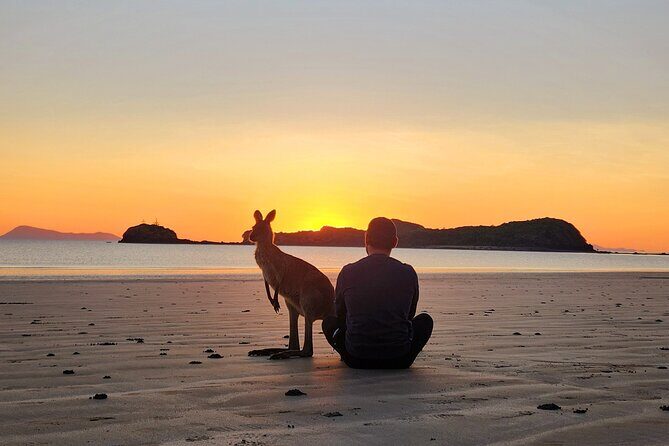 Sunrise with the kangaroos and wallabies - Practical Considerations