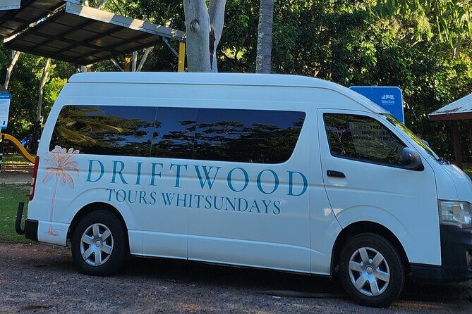 Sunrise with the kangaroos and wallabies - Who Will Love This Tour?