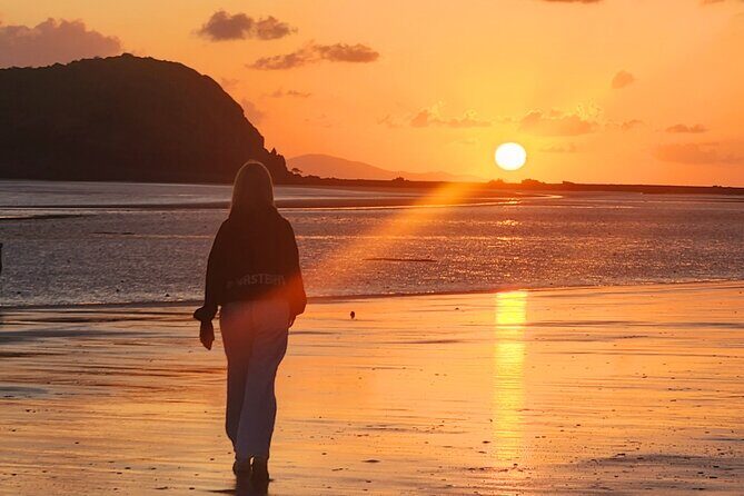 Sunrise with the kangaroos and wallabies - Final Thoughts