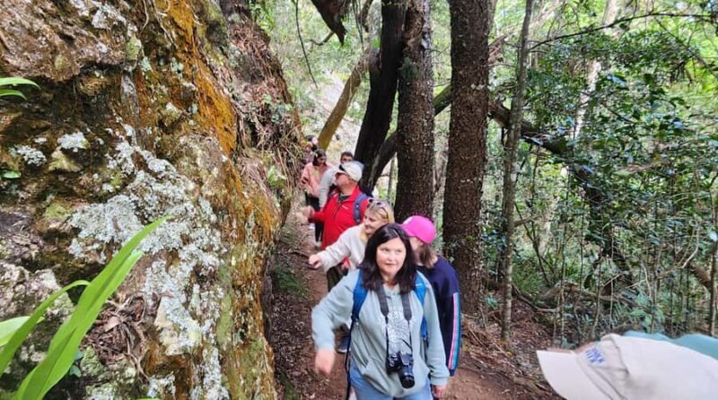 Sunrise with the Kangaroos & Wallabies - Airlie Beach - Returning to Airlie Beach
