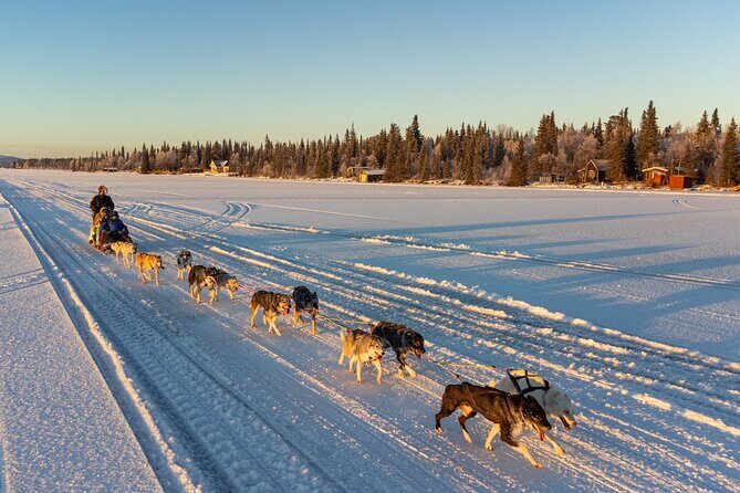 Sunrise Zen Husky Tour (10:00 to 13:00 - sitting on the sled) - Exciting Husky Sledding in Lapland: An Honest Review of the Sunrise Zen Husky Tour