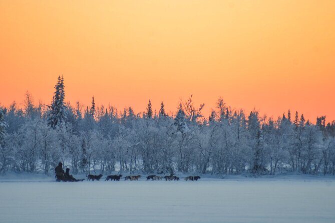 Sunrise Zen Husky Tour (10:00 to 13:00 - sitting on the sled) - Key Points