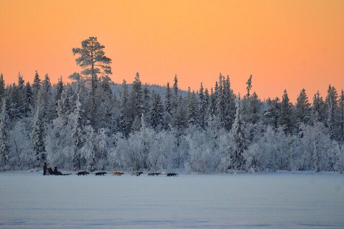Sunrise Zen Husky Tour (10:00 to 13:00 - sitting on the sled) - Detailed Breakdown of the Itinerary