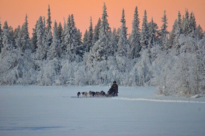 Sunrise Zen Husky Tour (10:00 to 13:00 - sitting on the sled) - Who Will Love This Tour?