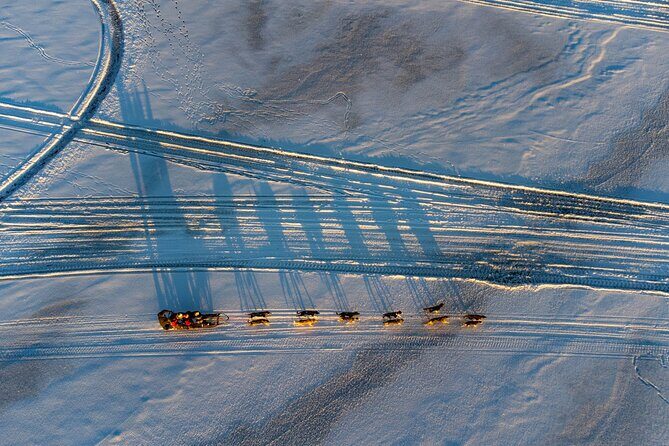 Sunrise Zen Husky Tour (10:00 to 13:00 - sitting on the sled) - FAQ Section