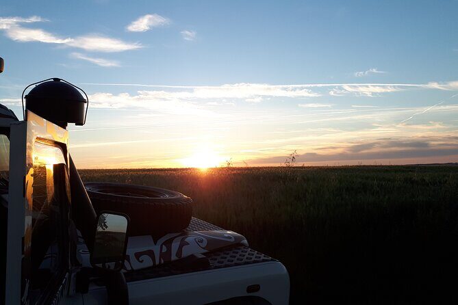 Sunset and champagne tasting in the vineyards - Sunset and Champagne Tasting in the Vineyards: An Authentic Reims Experience