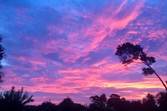 Sunset and Fireworks River Paddle Cruise - FAQ