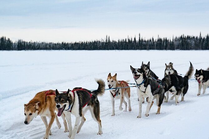 Sunset and Full Moon or Extended Ridge Top Mush - FAQ
