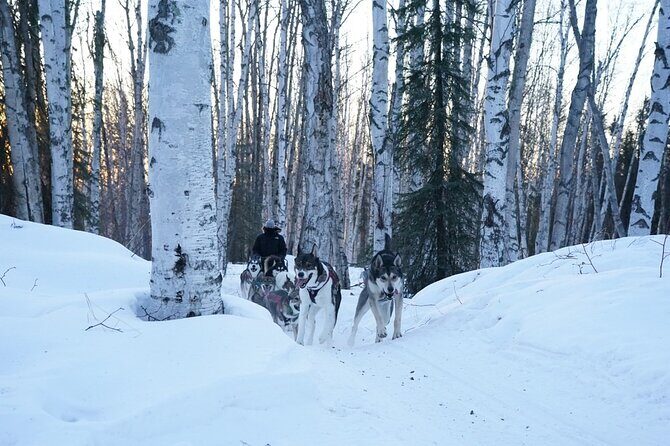 Sunset and Full Moon or Extended Ridge Top Mush - Final Thoughts