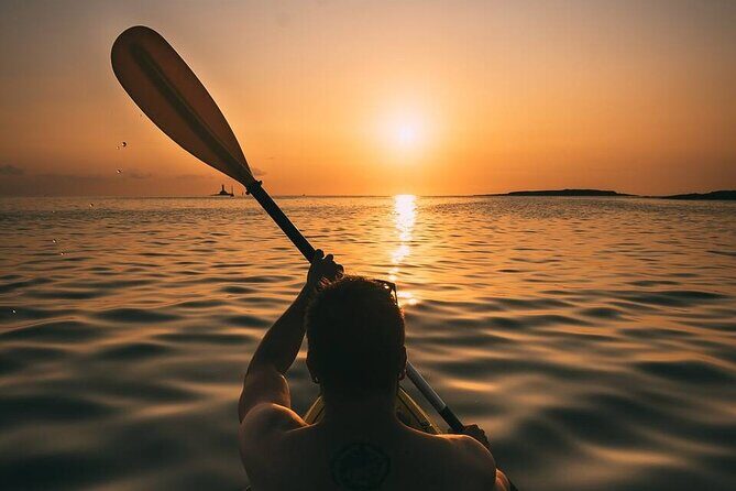 Sunset Boat Cruise in Vancouver - Who Will Love This Cruise?