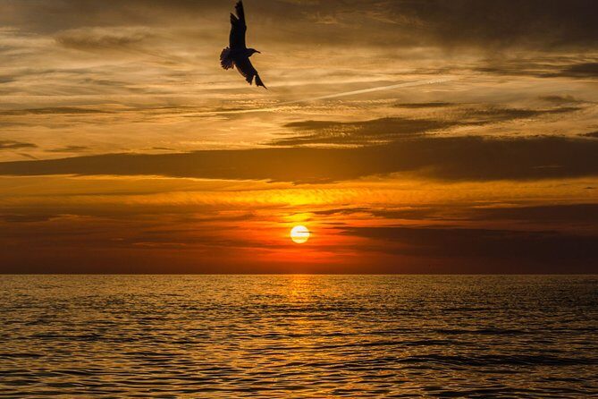 Sunset Boat Tour from Sorrento to Capri - Who Will Love This Tour?