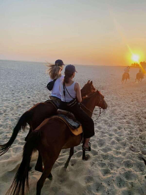 Sunset by Horse on the Beach - Key Points