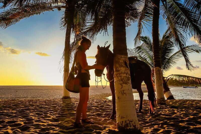Sunset by Horse on the Beach - What You Can Expect from the Guides and Horses