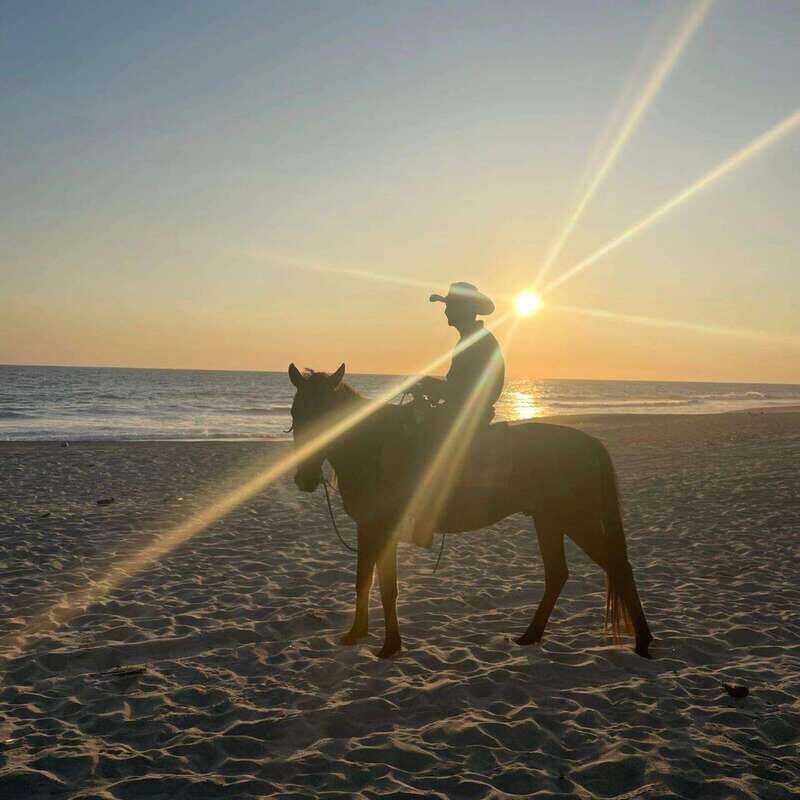 Sunset by Horse on the Beach - FAQs