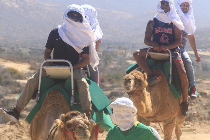 Sunset Camel Ride Tour - Why You’ll Love the Sunset Camel Ride Tour