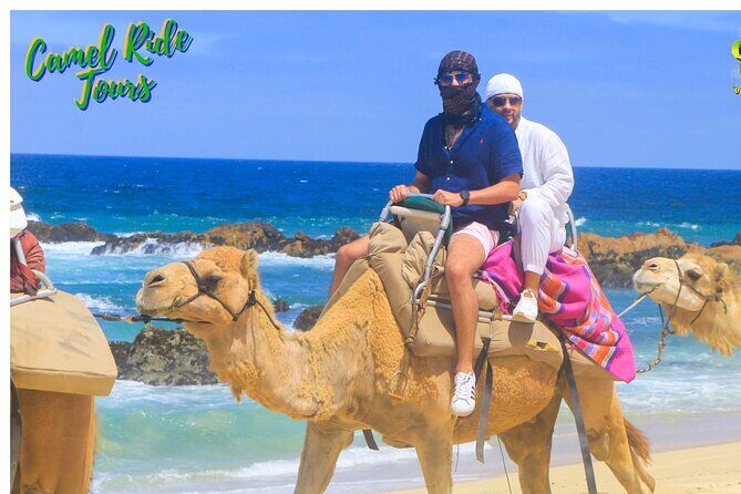 Sunset Camel Ride Tour - Who Should Consider This Tour?