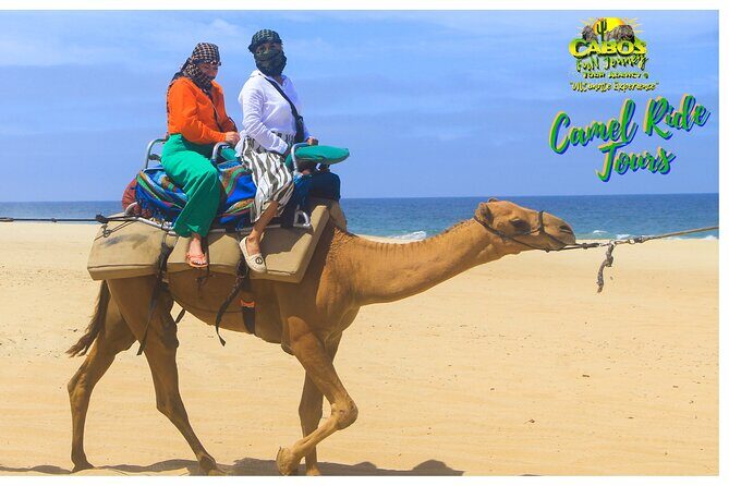 Sunset Camel Ride Tour - FAQ