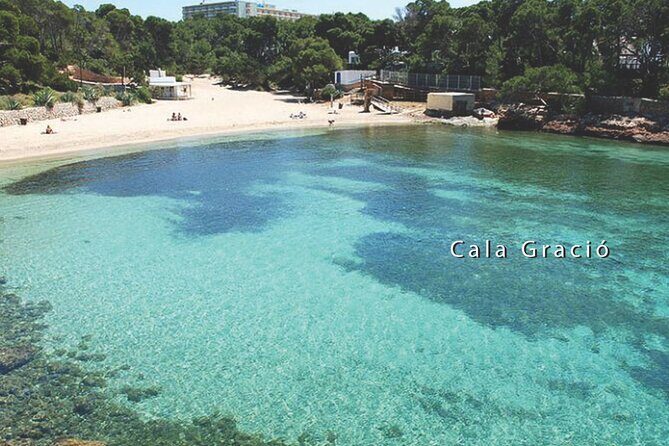 Sunset Cruise VIP (snorkeling, paddle board, & drinks Included) - Who Should Book This Tour?