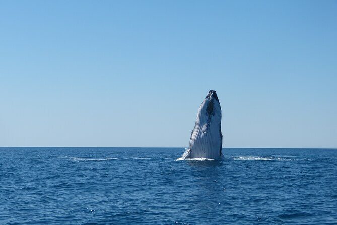 Sunset Cruise Wildlife Watching - Final Thoughts