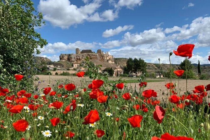 Sunset Dinner with a Private Chef by a 10th Century Castle - The Sum Up