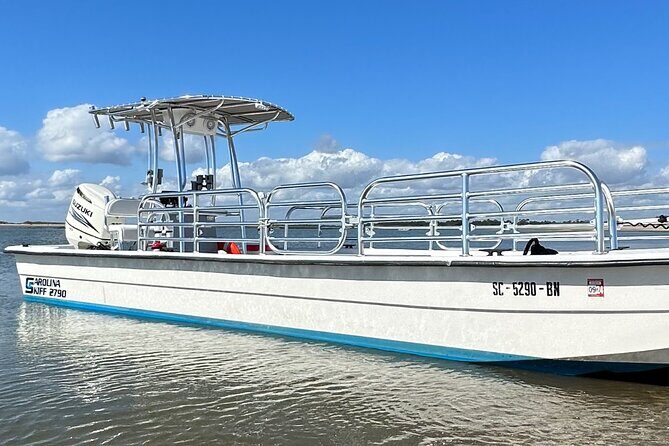 Sunset Dolphin Cruise (options for public of private) - Introducing this Charleston Dolphin Experience