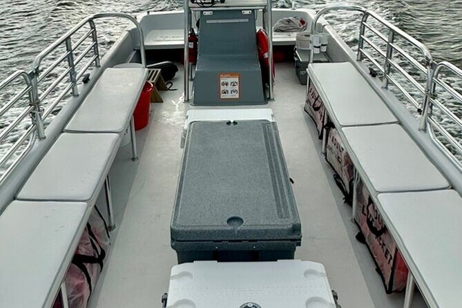 Sunset Dolphin Cruise (options for public of private) - The Practical Aspects