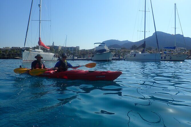 Sunset Dolphin Kayak Tour at Golfo Aranci - Why Choose the Sunset Dolphin Kayak Tour at Golfo Aranci?