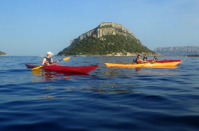 Sunset Dolphin Kayak Tour at Golfo Aranci - Who Should Book This Tour?