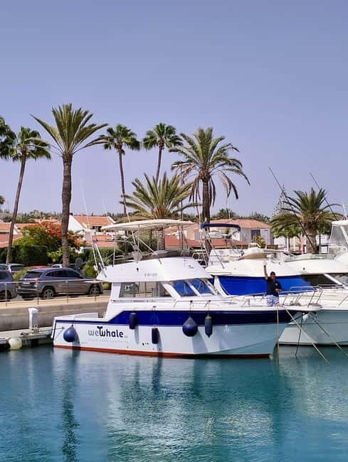 Sunset Dolphin Watching Tour on Hybrid Boat in Small Group - What to Expect on the Sunset Dolphin Watching Tour