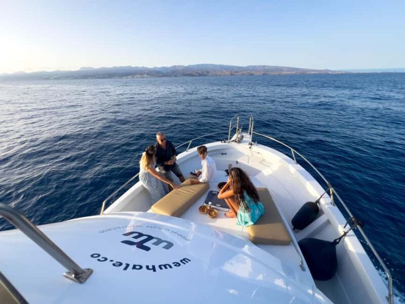 Sunset Dolphin Watching Tour on Hybrid Boat in Small Group - Who Should Consider This Tour?