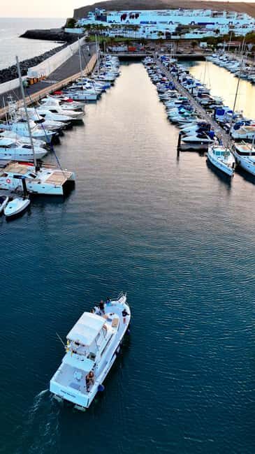 Sunset Dolphin Watching Tour on Hybrid Boat in Small Group - Frequently Asked Questions