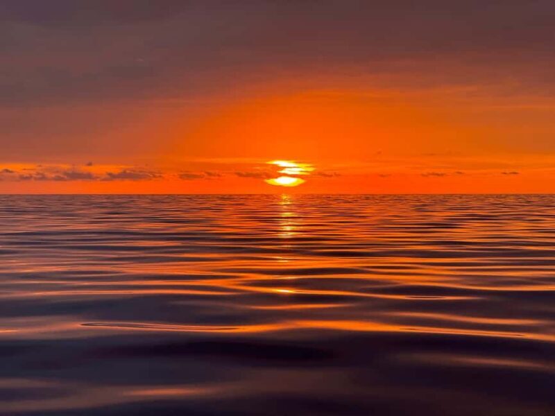 Sunset Dolphin Watching Tour on Hybrid Boat in Small Group - Final Thoughts