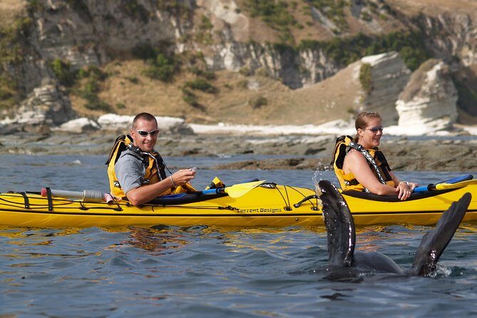 Sunset Evening Kayaking Tour - Kaikoura - Practical Details & Tips