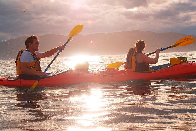 Sunset Evening Kayaking Tour - Kaikoura - FAQ