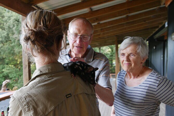 Sunset Experience - An In-Depth Look at the Sunset Experience